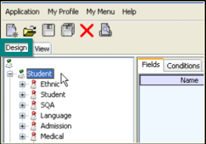 Exporting a CSV - SEEMIS