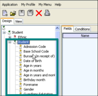Exporting a CSV - SEEMIS